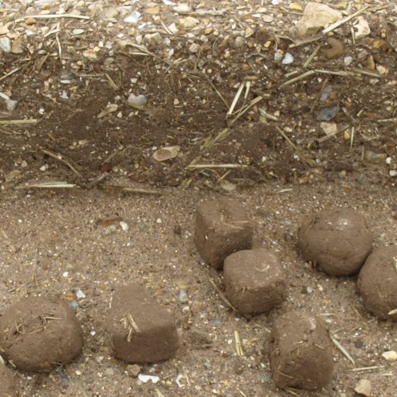 Clunch and Clay Bat | Wall and Framework Materials | Meldreth History